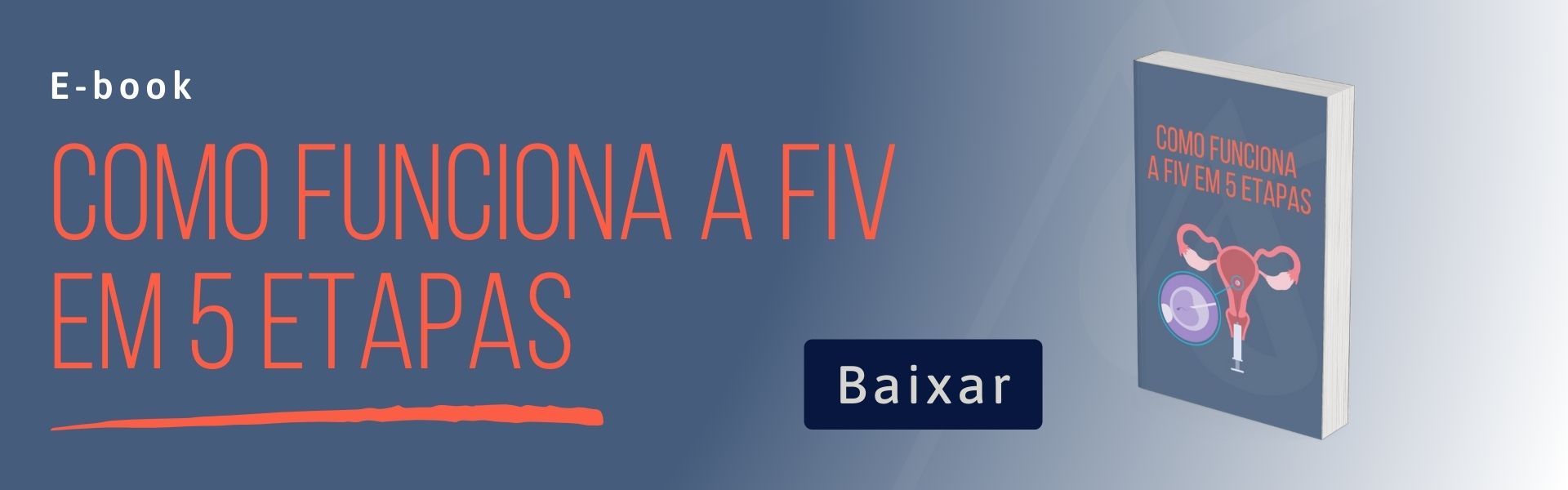 Como Funciona a FIV em 5 Etapas